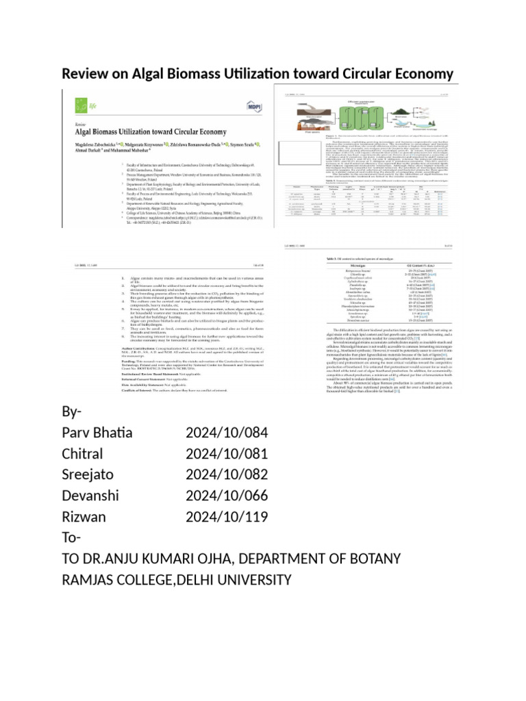 Review On Algal Biomass Utilization Toward Circular Economy | PDF ...