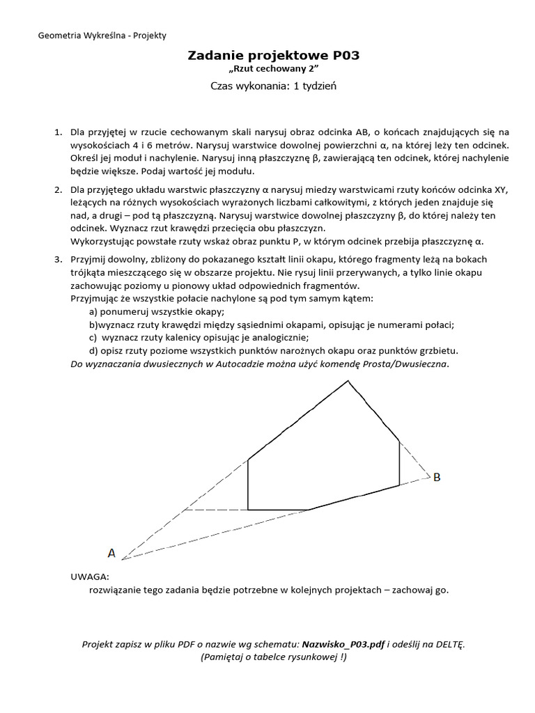 Zadanie Projektowe P03: Czas Wykonania | PDF