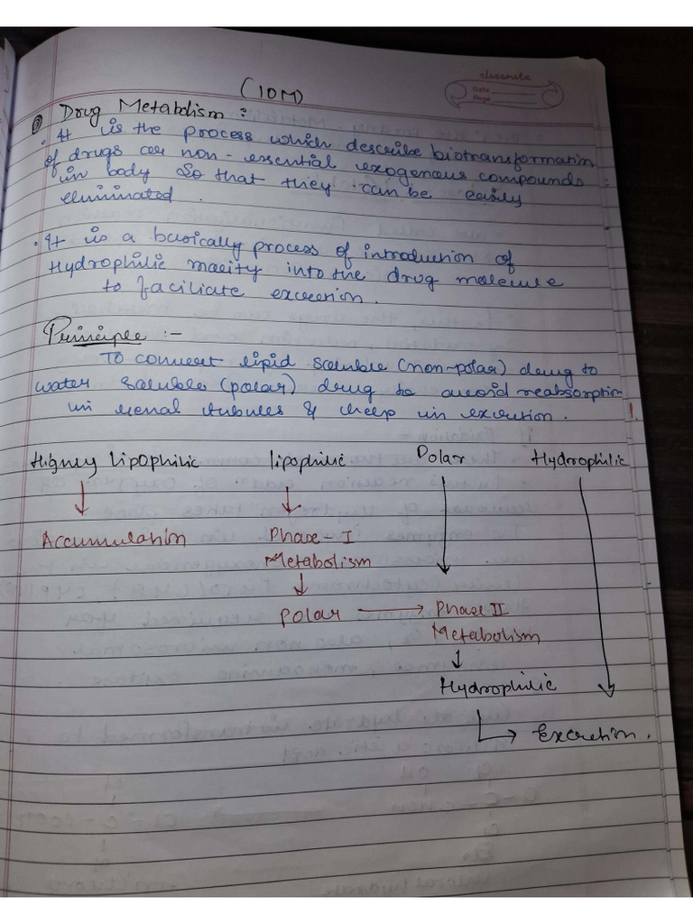 Drug Metabolism | PDF
