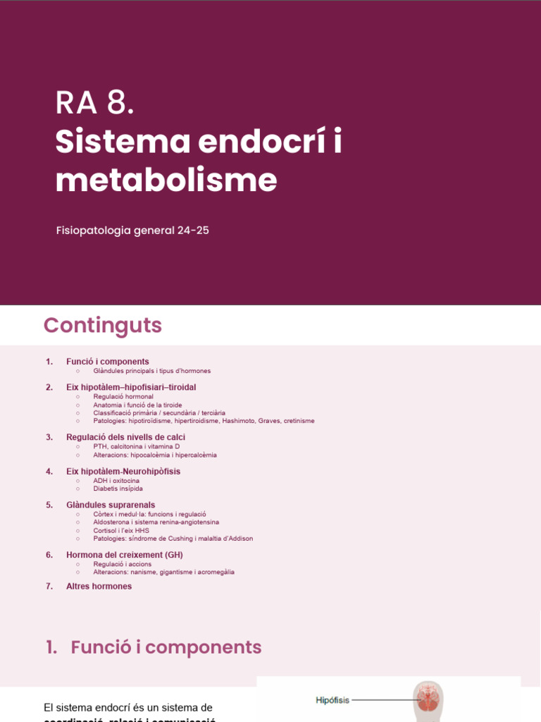 RA8. Sistema Endocrí I Metabolisme | PDF