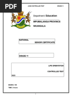 CAT Grade 11 Term 3 Practical | PDF