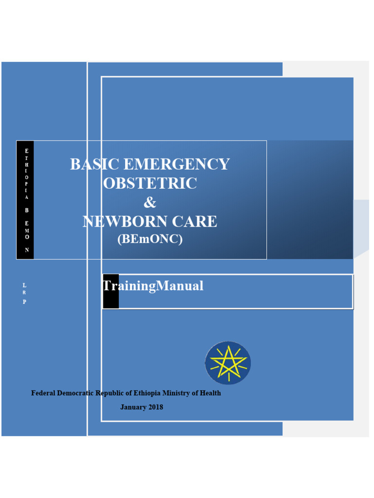Basic Emergency Obstetrics and New Born Care | PDF | Maternal Death ...