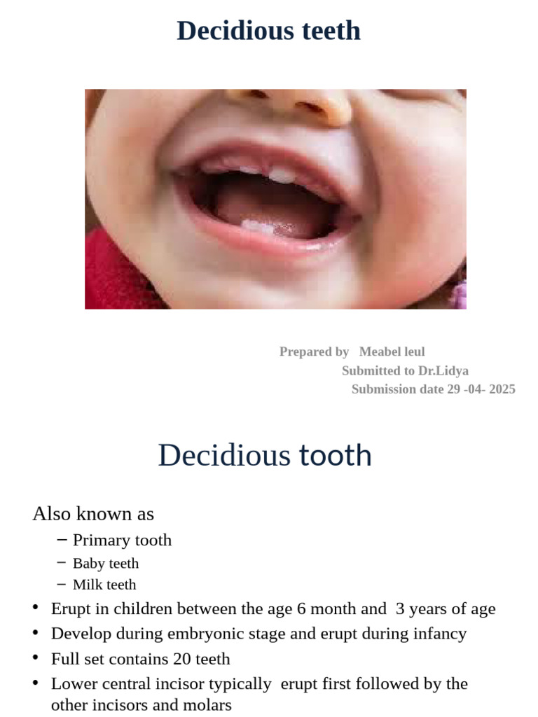 Anatomy and Functions of Deciduous Teeth | PDF | Dental Anatomy | Tooth
