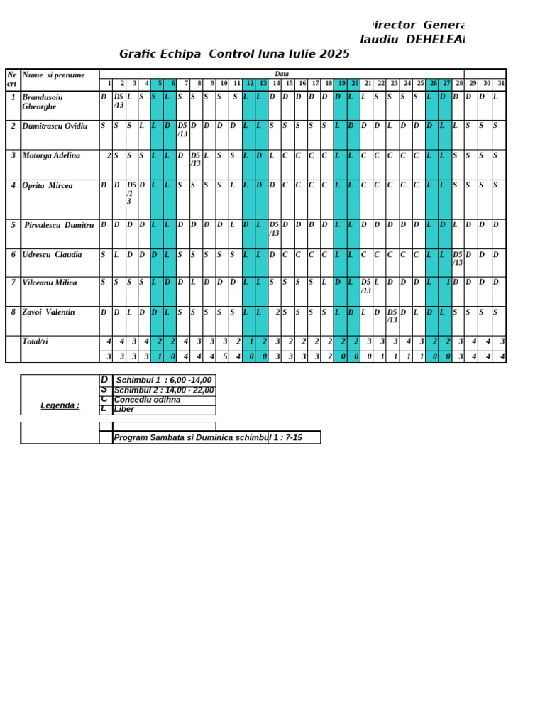 Grafic Echipa Control | PDF