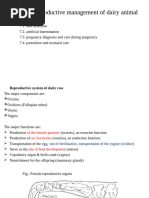 Reproductive Physiology and Anatomy of The Sow PDF | PDF | Luteinizing ...