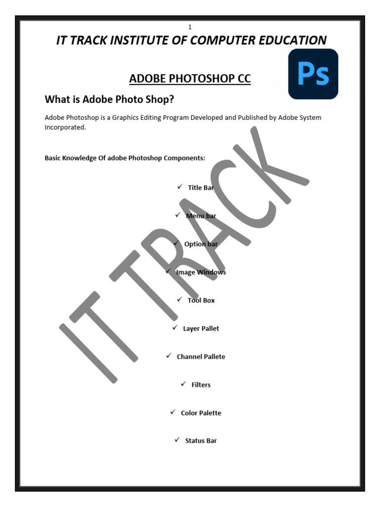 Adobe Photoshop CC 2022 Guide | PDF | Adobe Photoshop | Vision
