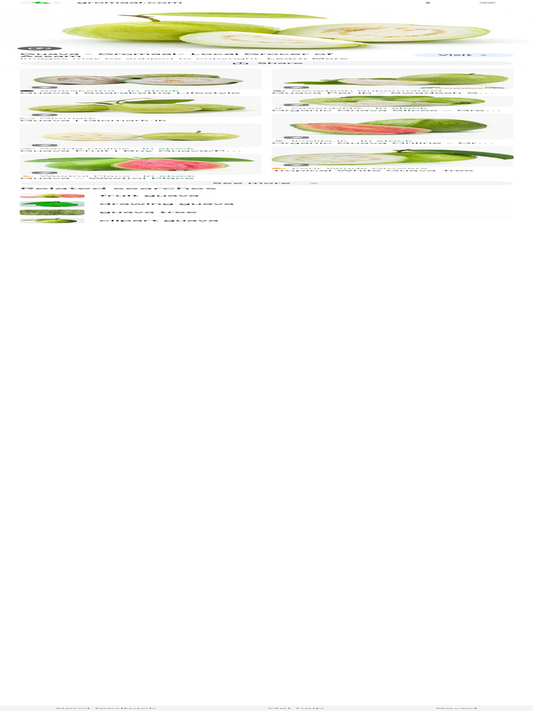 Guava - Google Search | PDF