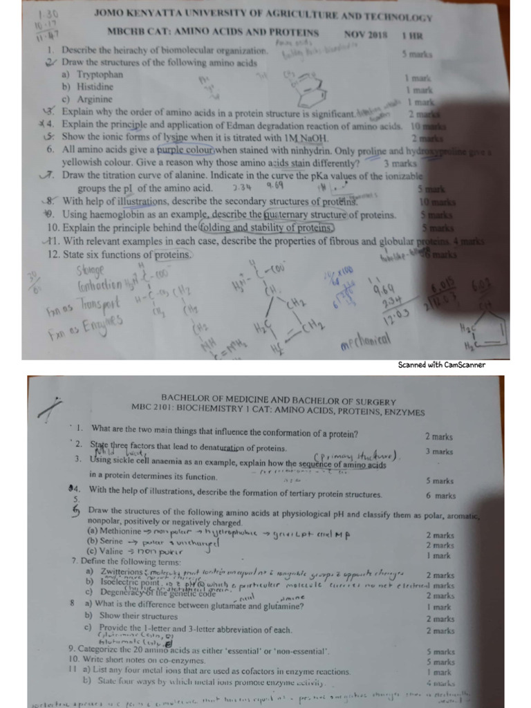 Yr1 Bchem-1 | PDF