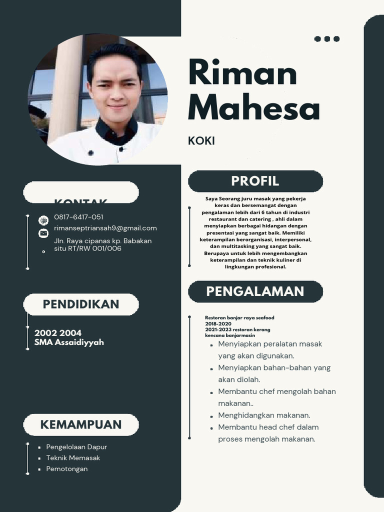 Mini CV | PDF