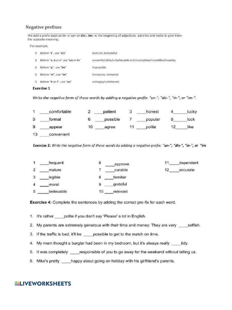 Worksheet Im Un Dis Prefixes | PDF