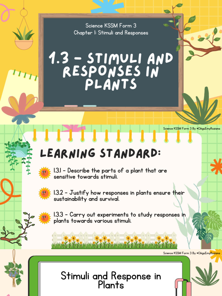 1.3 - Stimuli and Responses in Plants | PDF | Plants | Biology