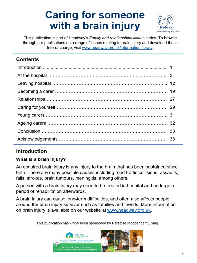 Caring For Someone With A Brain Injury | PDF | Concussion | Physical ...