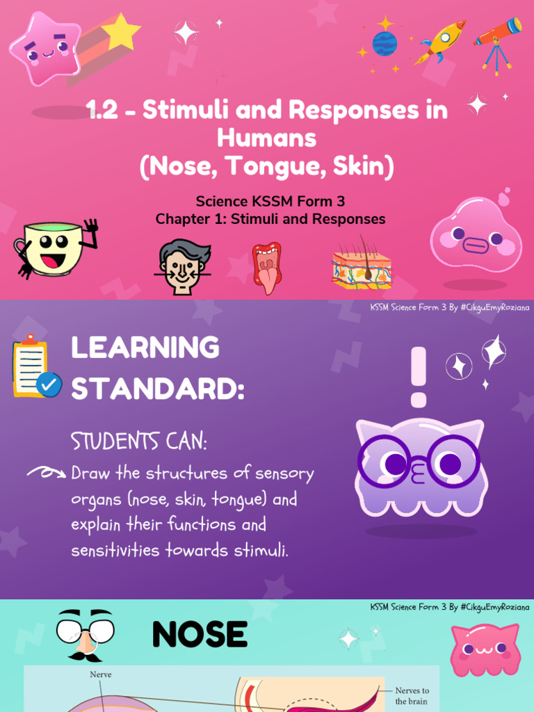 1.2 - STIMULI AND RESPONSES IN HUMANS (NOSE, TONGUE, SKIN) | PDF ...