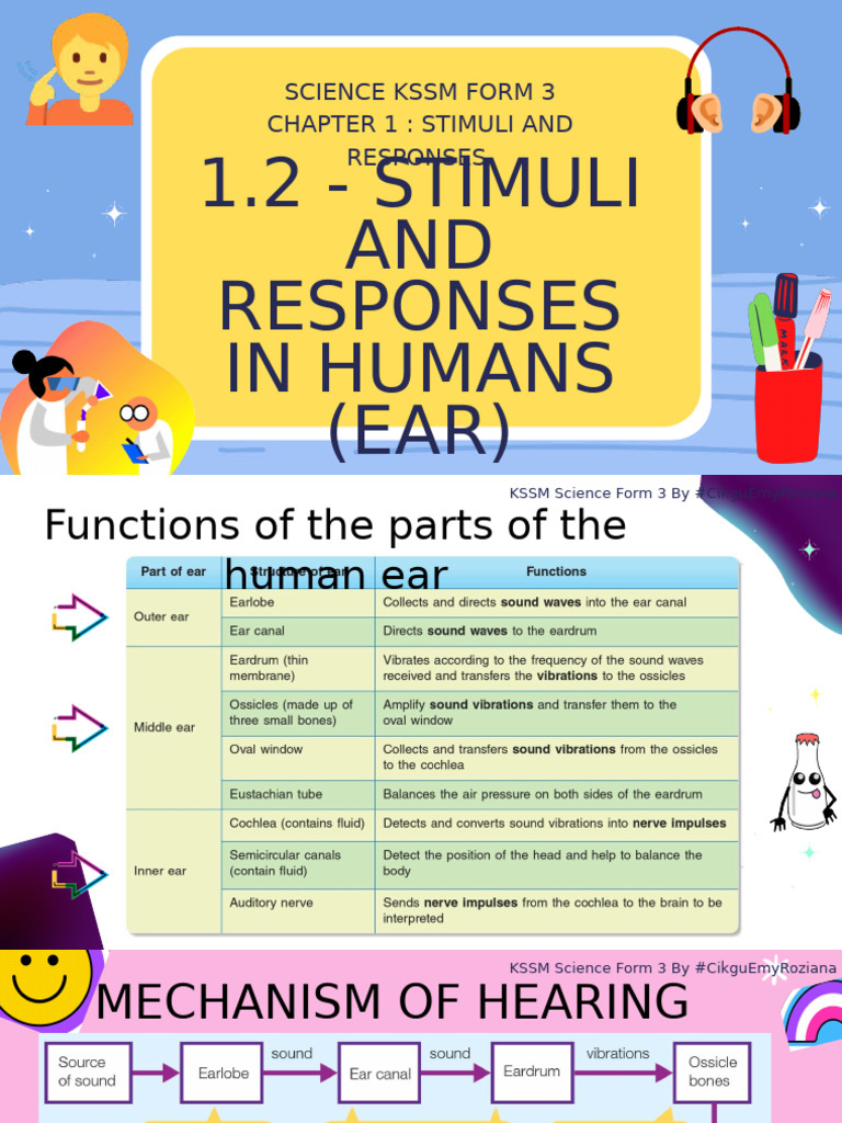 1.2 - STIMULI AND RESPONSES IN HUMANS (EAR) | PDF