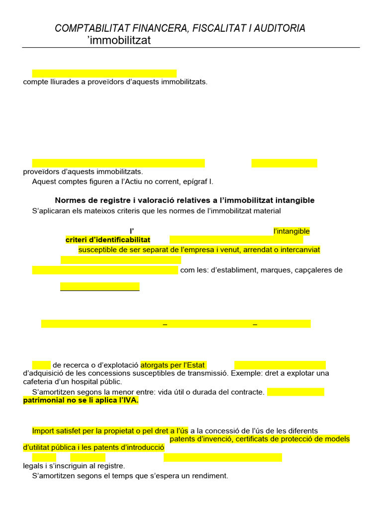 APUNTS - Unitat 5 - Limmobilitzat Intangible 2024-25 | PDF