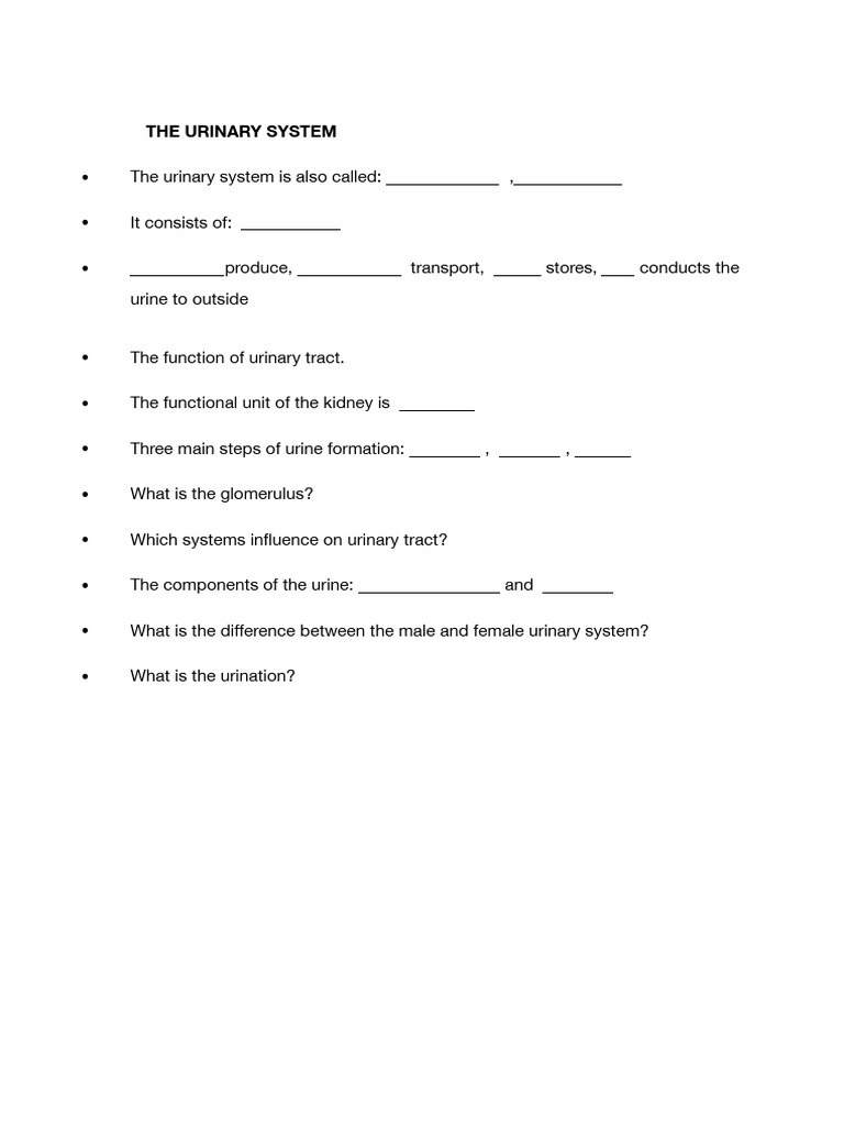 Urinary Q | PDF