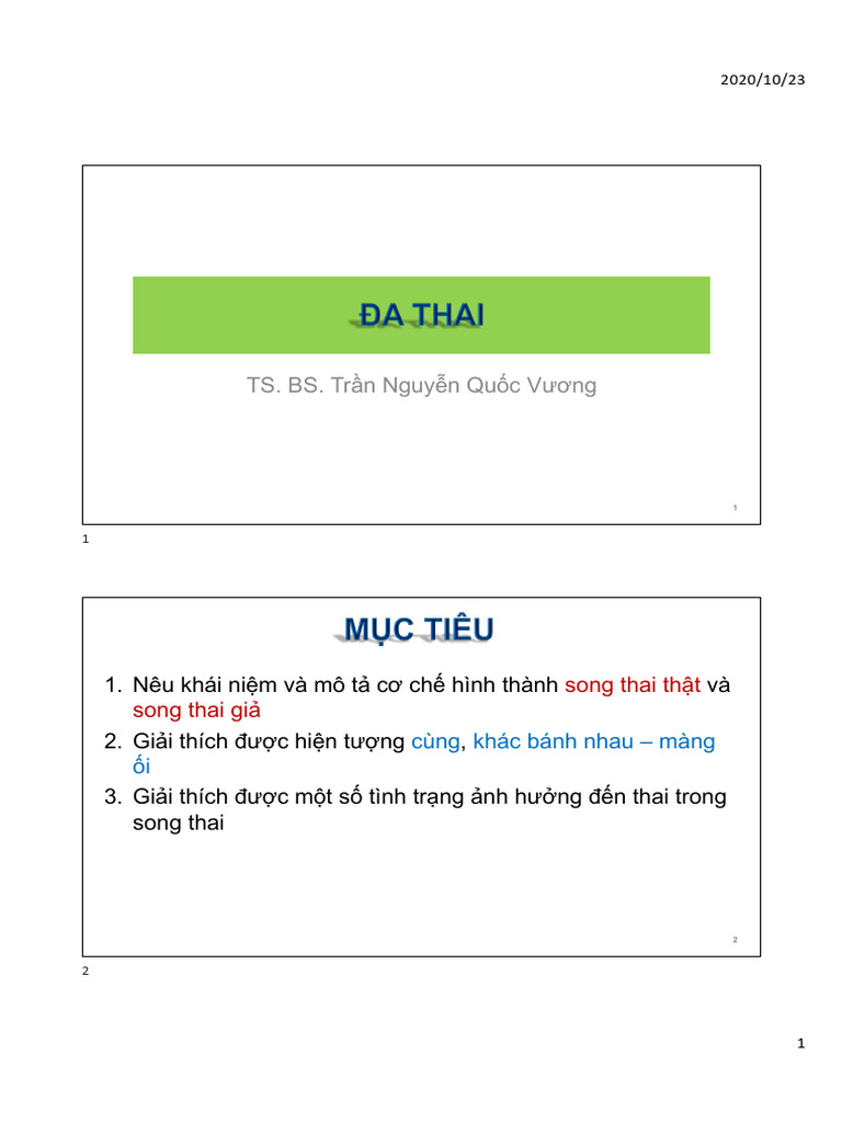 Da Thai - Di Dang 2020 - VN | PDF