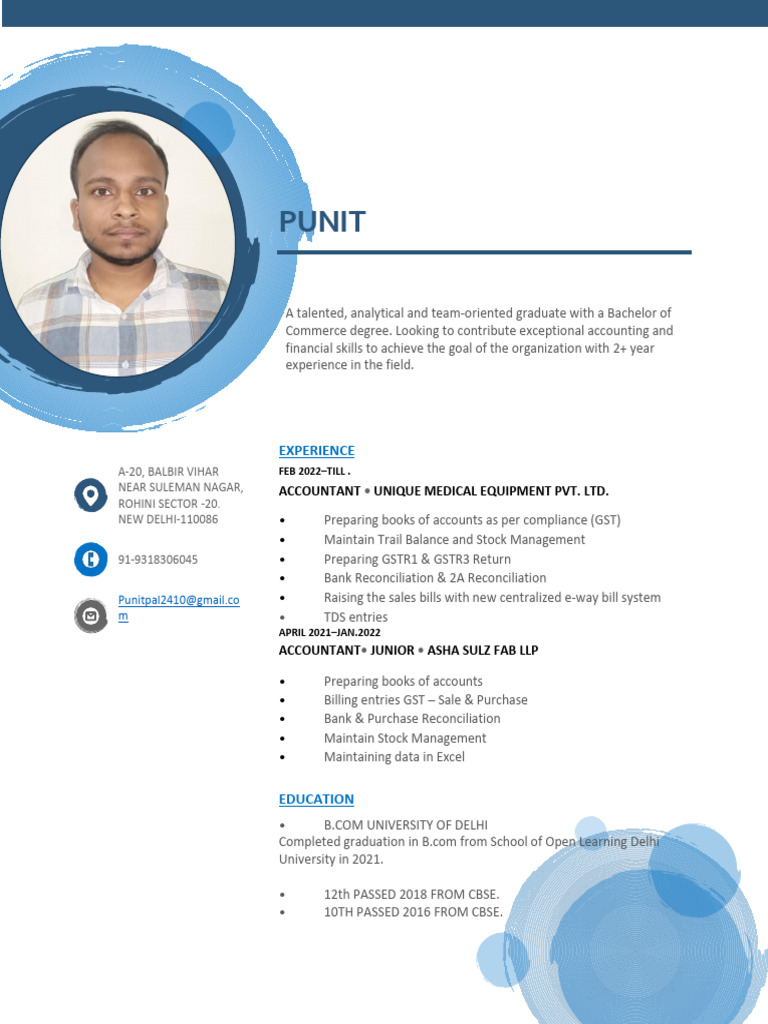 Punit CV | PDF
