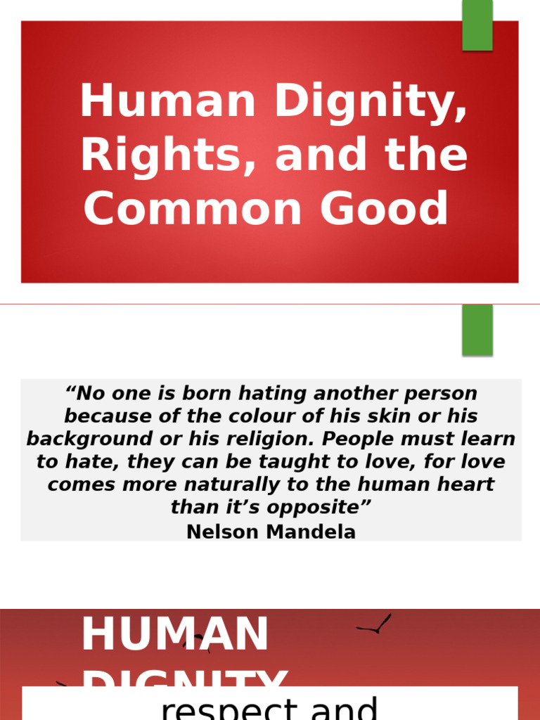 Human Rights Dignity and Common Good | PDF | Rights | Dignity