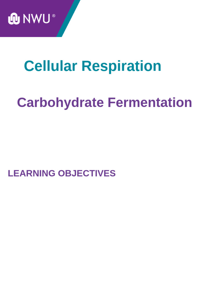 Practical On Respiration | PDF