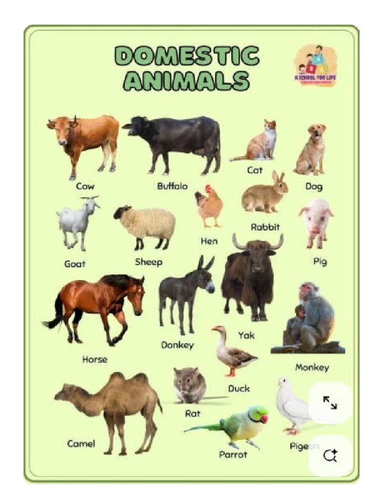 Gambar-gambar binatang | PDF