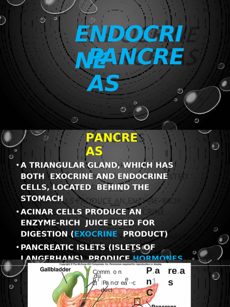 Endocrinepancreas 150424221003 Conversion Gate02 | PDF | Insulin | Pancreas