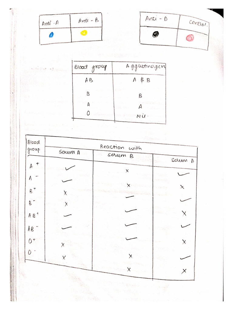 Practical No. 10 | PDF