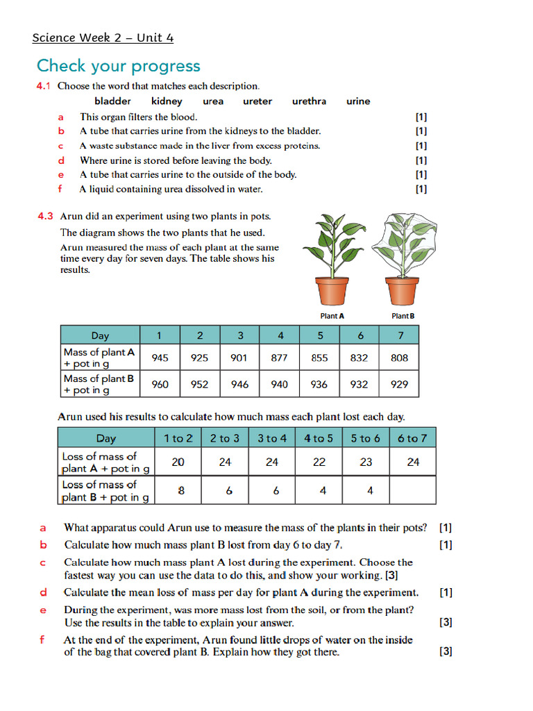 Science Unit 4 Cambridge Lower Secondary Year 9 or 8 | PDF