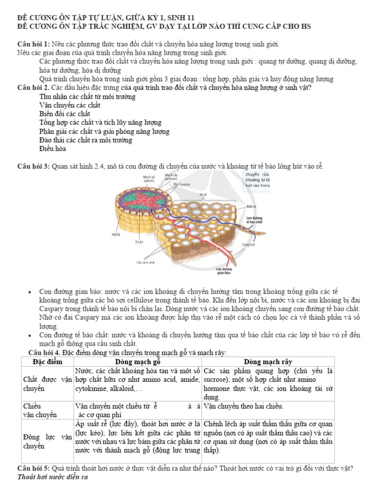 Tự luận GK1 | PDF