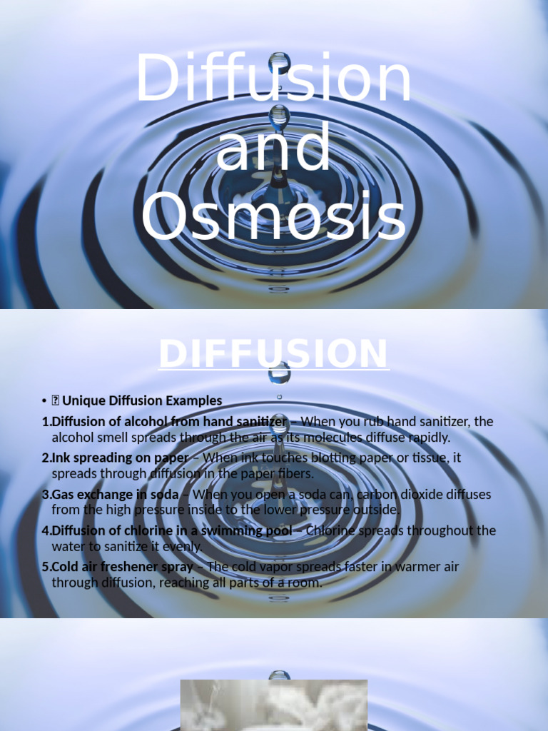 Diffusion and Osmosis | PDF