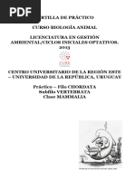 Anatomía del Hámster: Estudio Detallado | PDF | Mamíferos | Reptil