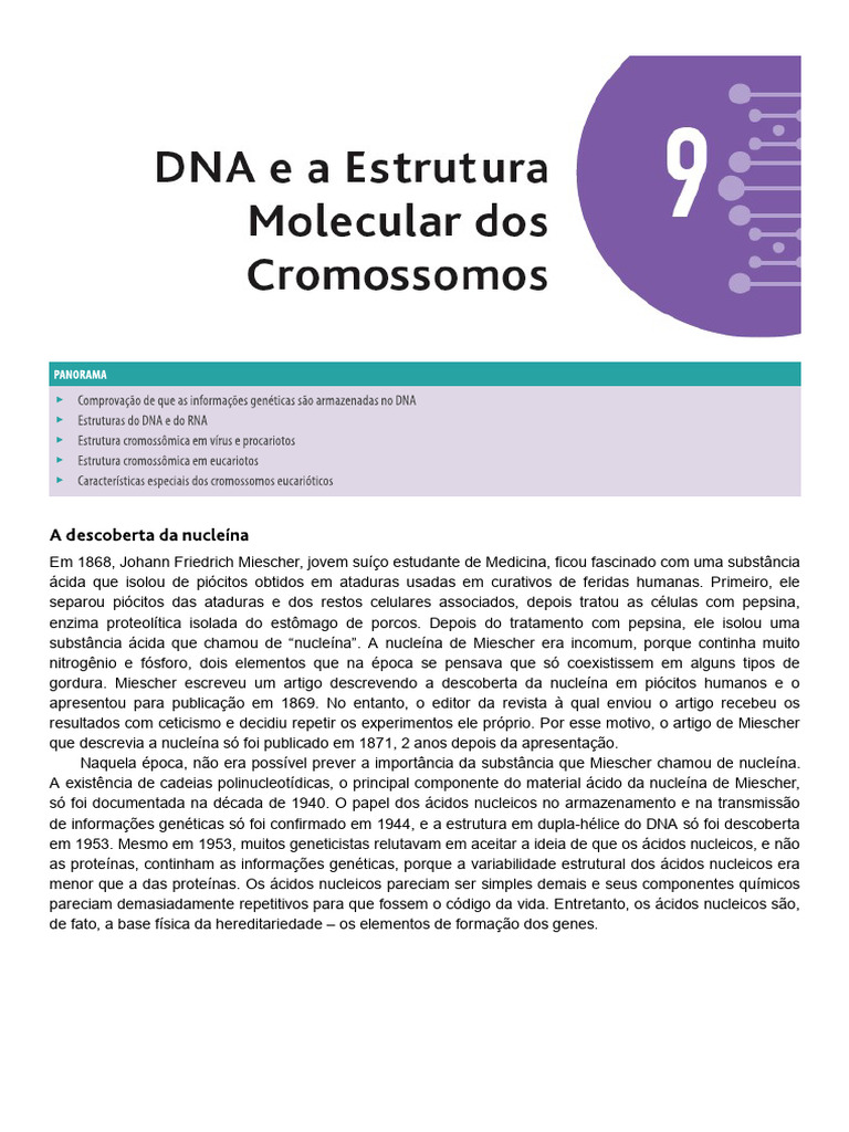 CAP 9 - DNA E A ESTRUTURA MOLECULAR DOS CROMOSSOMOS (SNUSTAD SIMMONS, 2017. 7 Ed) | PDF | DNA ...