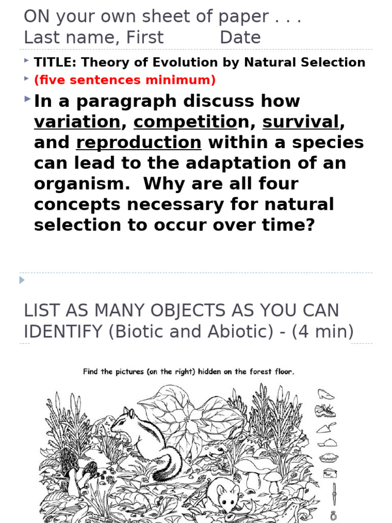 2014 Classification Notes | PDF | Taxonomy (Biology) | Fruit