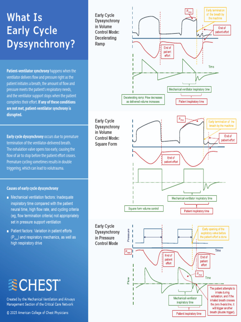 Early Cycle Dyssynchrony in Ventilation | PDF