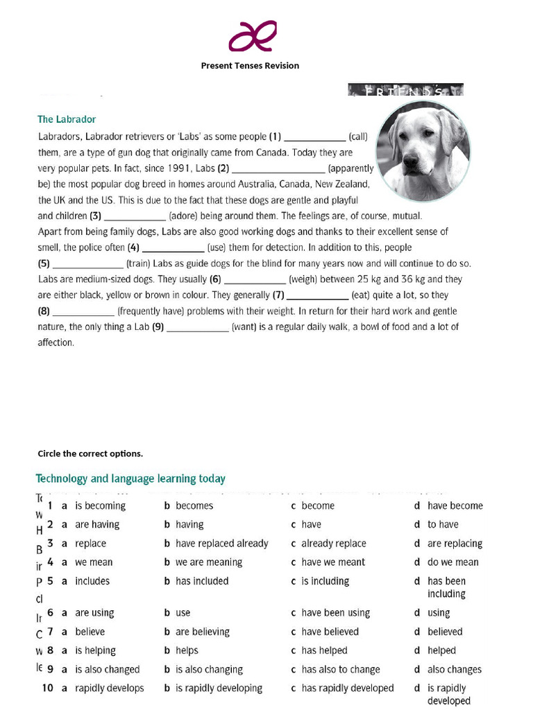 Present Tenses Revision | PDF