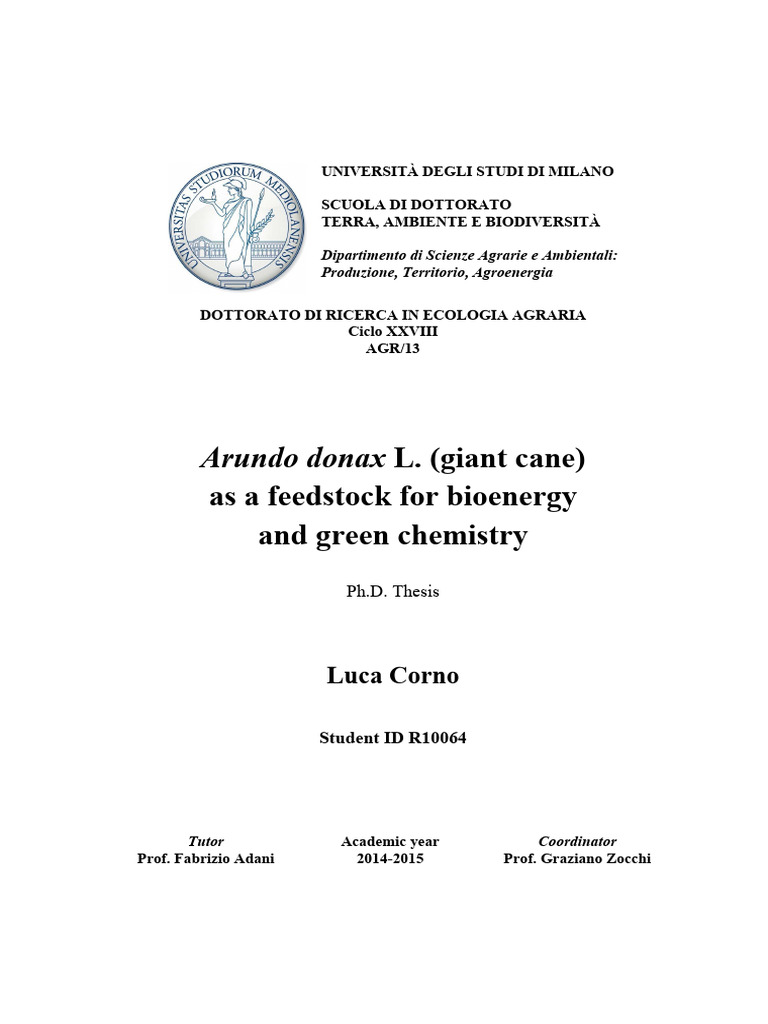 Phd Unimi R10064 | PDF | Bioenergy | Power Resources