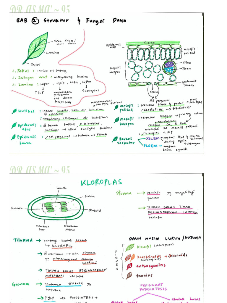 Bio F5 KSSM Bab 2 | PDF