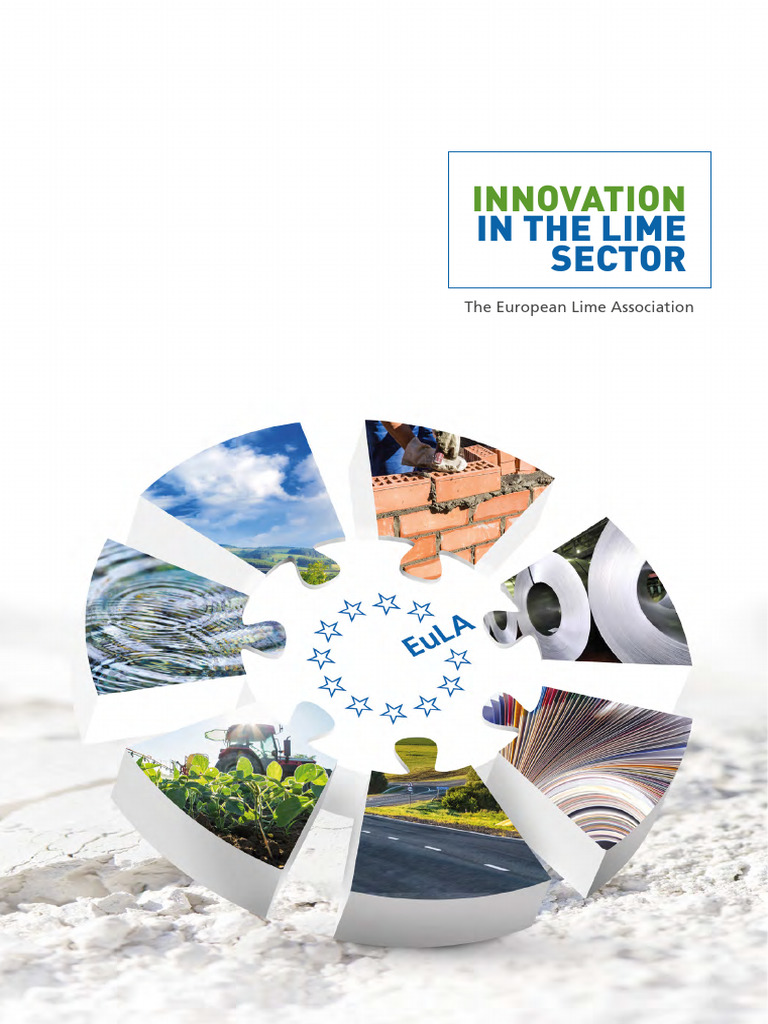 Innovation in the Lime | PDF | Lime (Material) | Calcium
