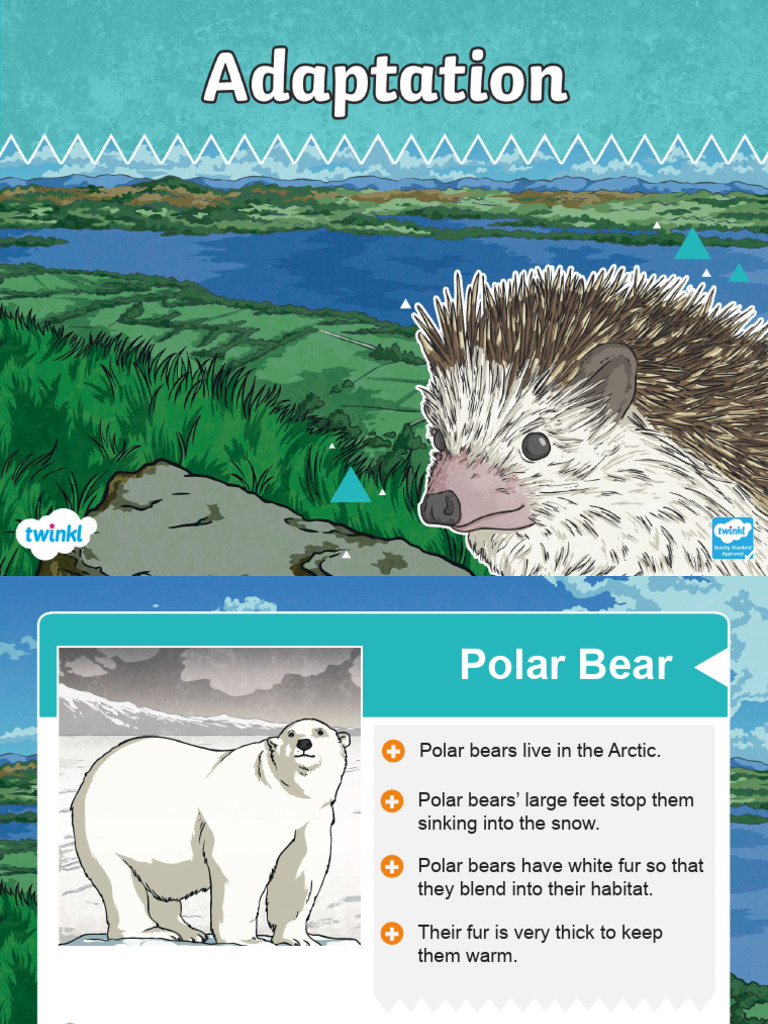 Adaptation PowerPoint | PDF | Frog | Elephant
