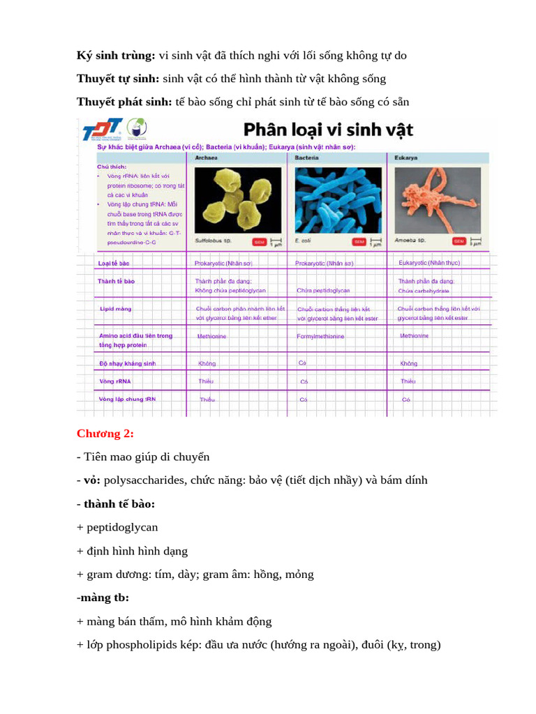 Vi Sinh Gi A K | PDF
