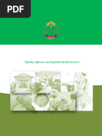 Papua New Guinea National Health Plan 2021-2030 | PDF | Papua New ...