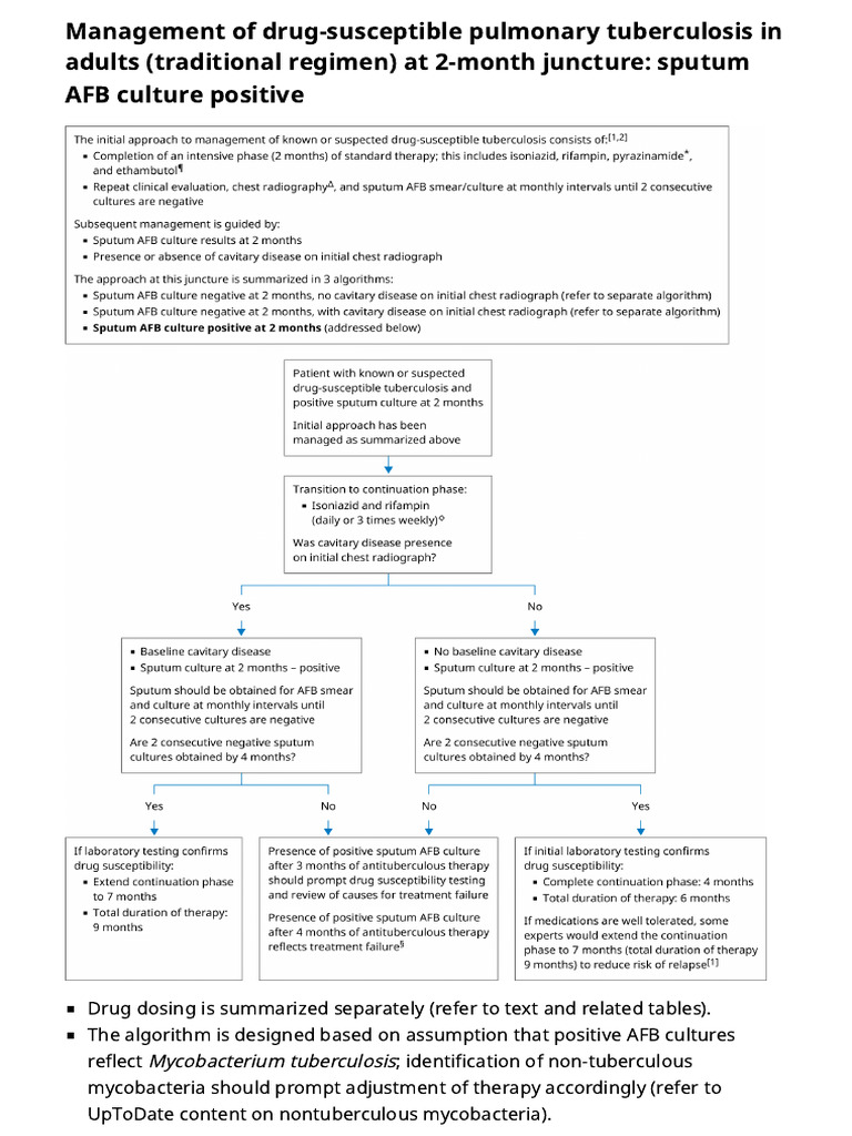 TB Management: 2-Month Sputum Guidelines | PDF | Tuberculosis ...