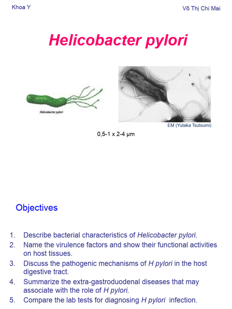 2025-Apr - H Pylori - Y | PDF | Gastroenterology | Microbiology
