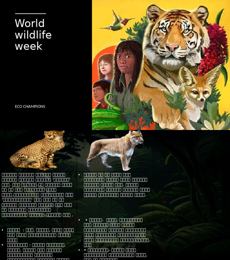 World Wildlife Week | PDF