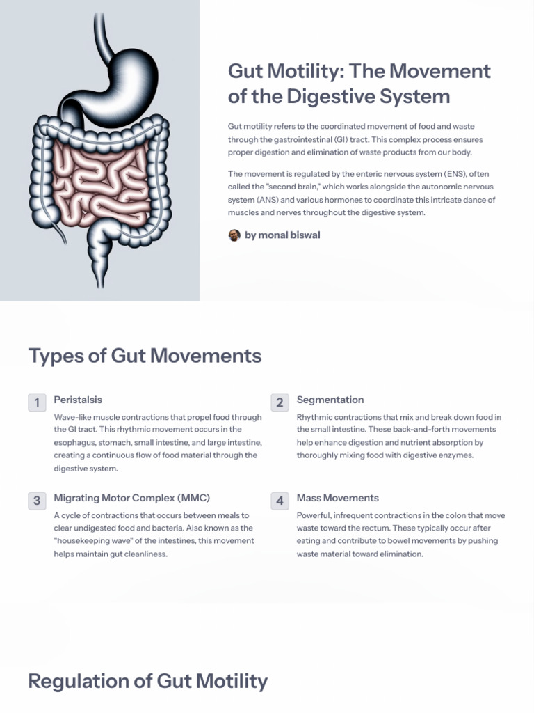 Gut-Motility-The-Movement-of-the-Digestive-System | PDF ...