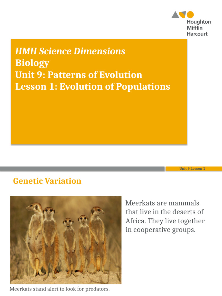 Biology Unit 9 Powerpoint Notes | PDF | Natural Selection | Allele