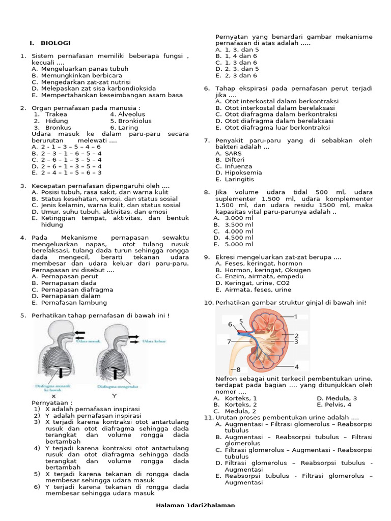 Latihan Soal Biologi Kelas 11 | PDF