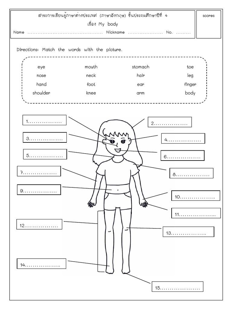 Worksheet Grade 4 My Body | PDF