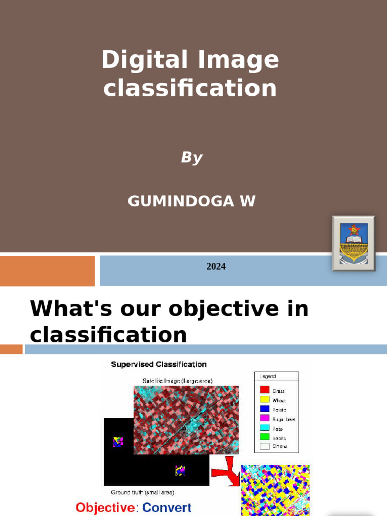 4 - Digital Image Classification | PDF