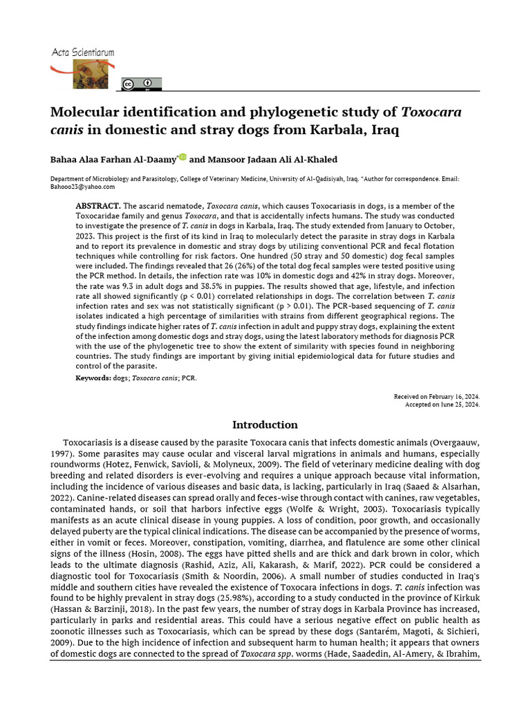 Molecular Identification | PDF | Biology | Life Sciences